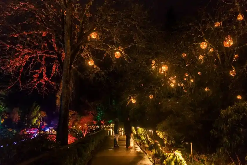 Winter Tours From Vancouver | Keywest Travel & Tours